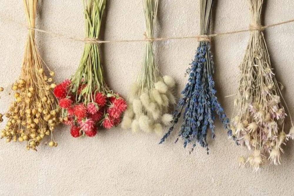 Cómo secar y conservar flores para un ramo duradero - Mundo ClubHouse